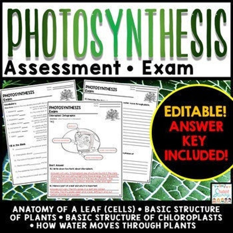 Photosynthesis Unit Exam - Assessment - Etsy