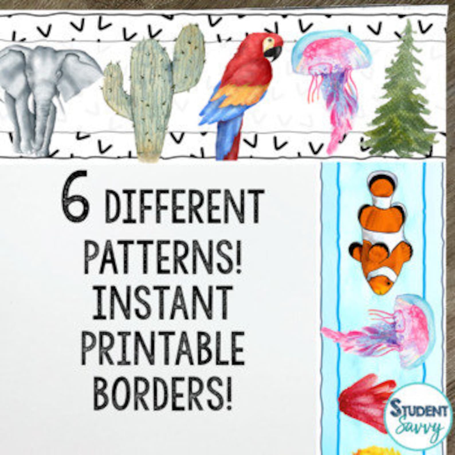 Biomes Bulletin Board Kit | Biomes Posters | Borders | Banners - Etsy