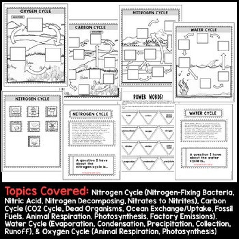 Earth Cycles Interactive Notebook Earth Science Google - Etsy