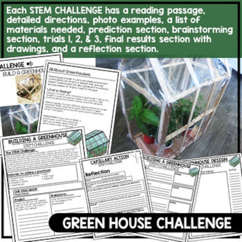 Photosynthesis Activities STEM Challenges - Etsy