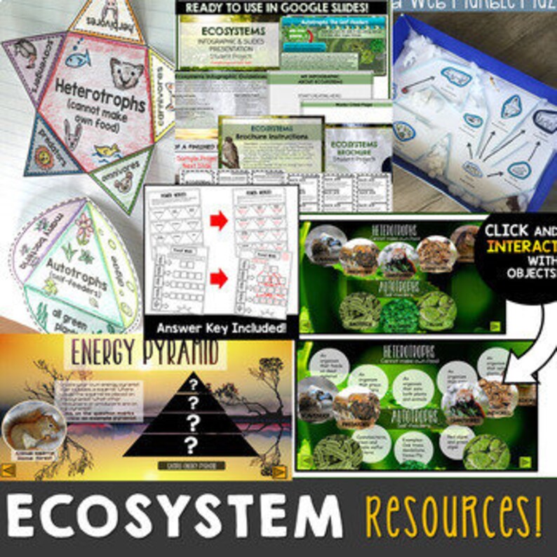 Ecosystems Activities Resource Bundle Project STEM Ecology Food Chain ...
