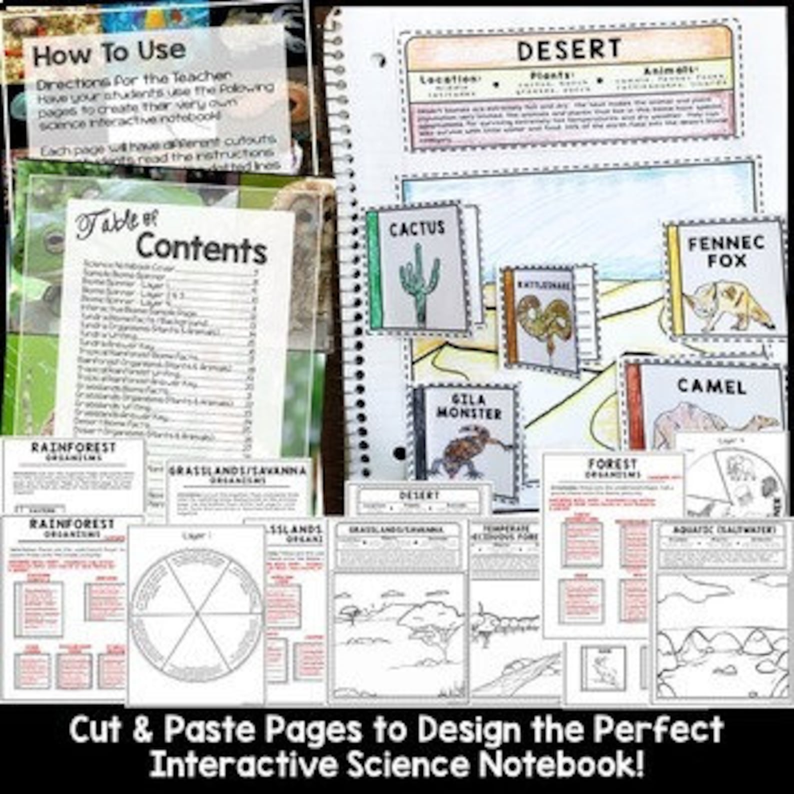 Biomes Interactive Notebook Biomes Google Classroom Animal Habitats ...