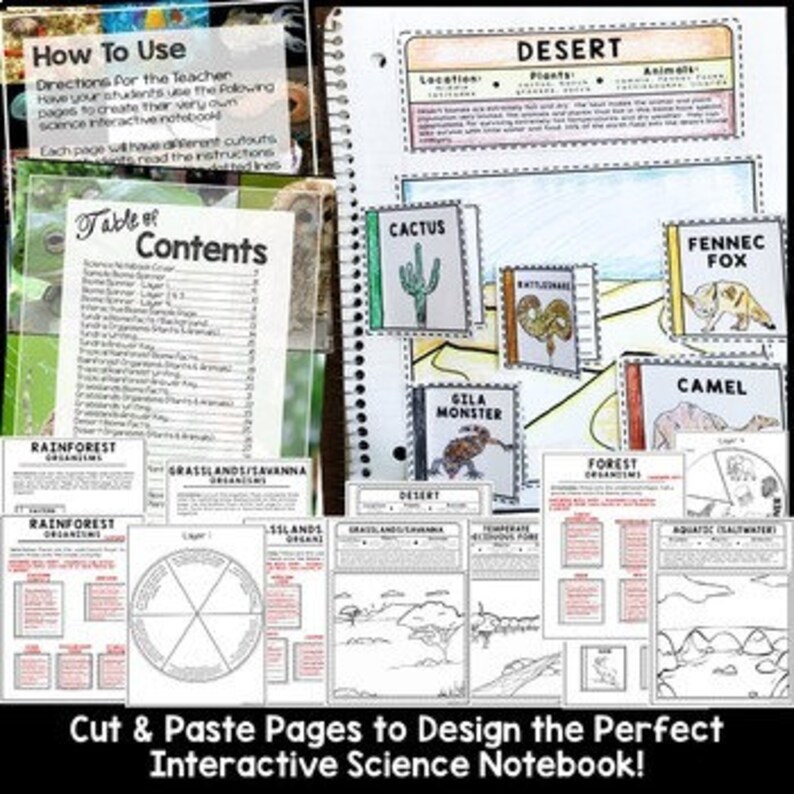 Biomes Interactive Notebook Biomes Google Classroom Animal Habitats ...