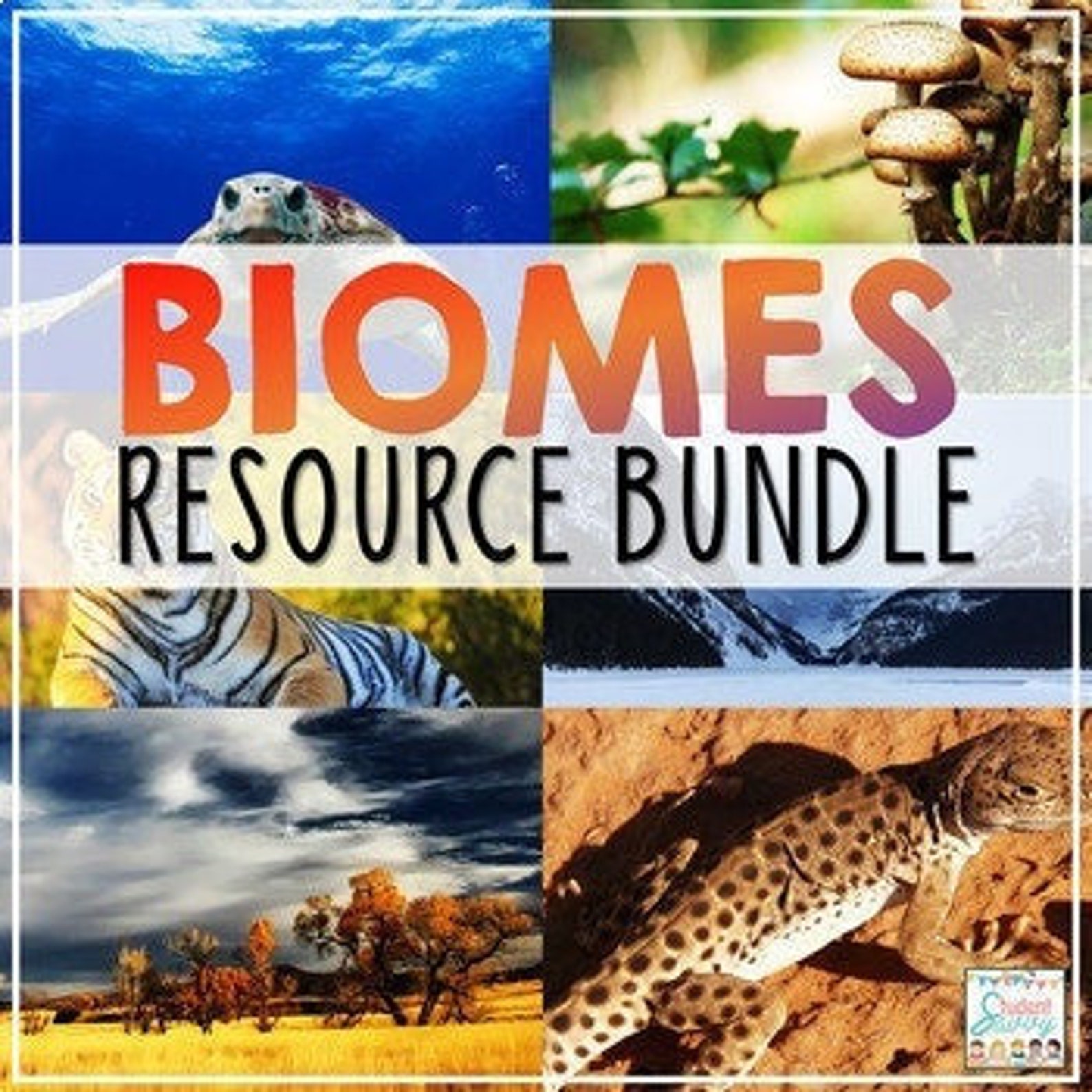 Biomes Activities Resource Bundle - Projects Worksheets STEM Reading ...