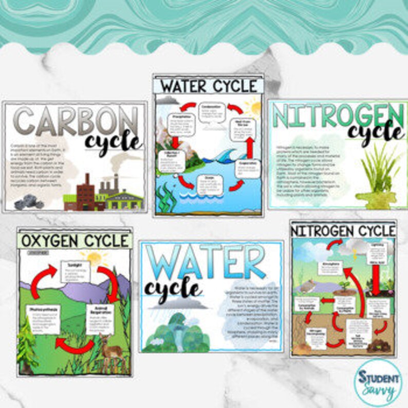 Earth Cycles Posters Science Classroom Decor Carbon Nitrogen Oxygen ...
