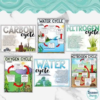 Earth Cycles Posters Science Classroom Decor Carbon Nitrogen Oxygen ...