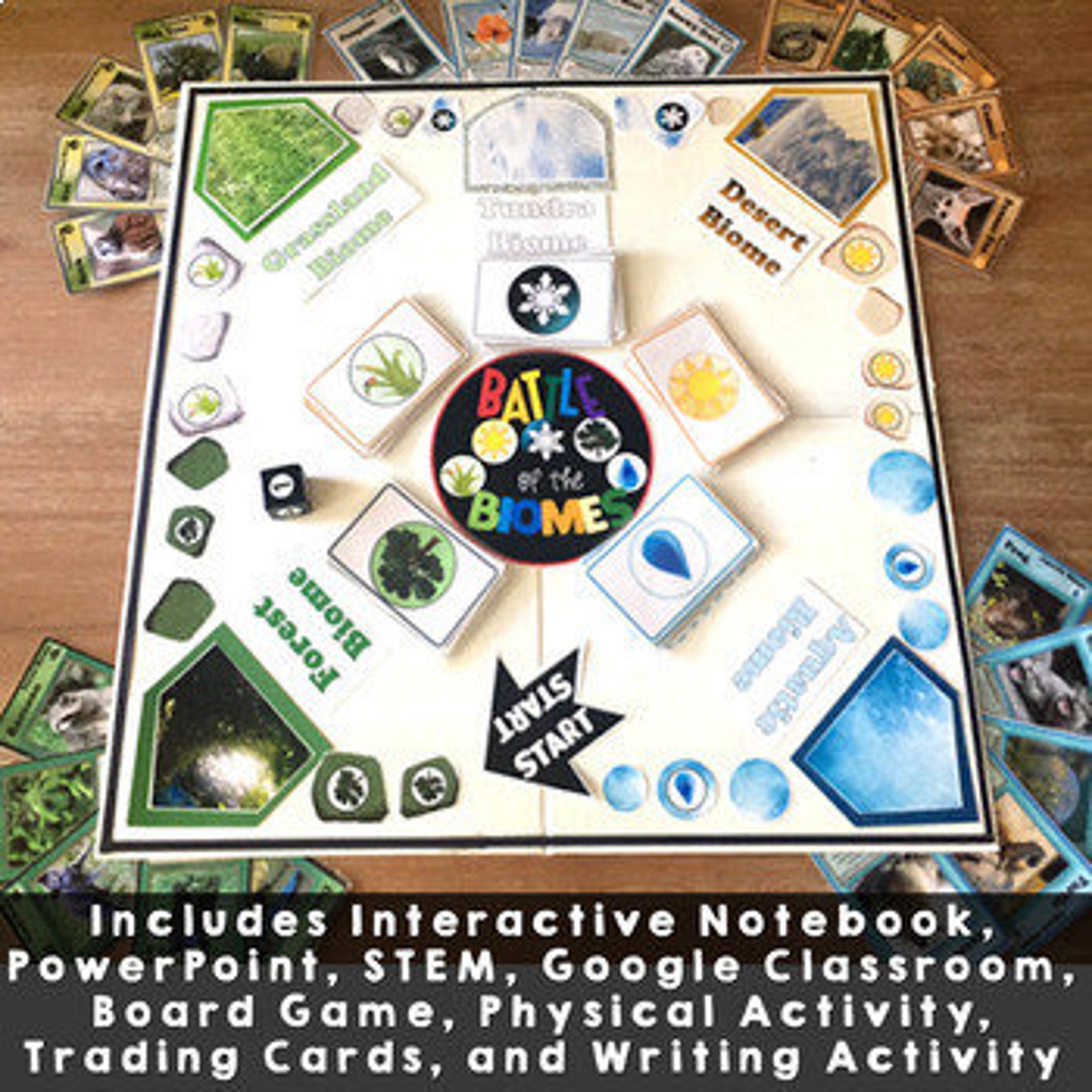 Biomes Activities Resource Bundle - Projects Worksheets STEM Reading ...