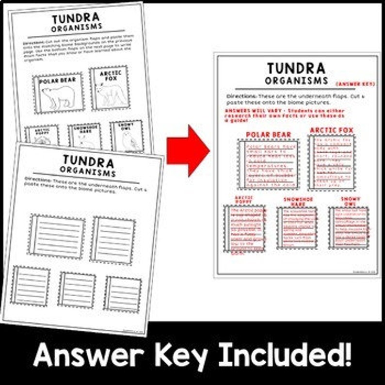 Biomes Interactive Notebook Biomes Google Classroom Animal Habitats ...