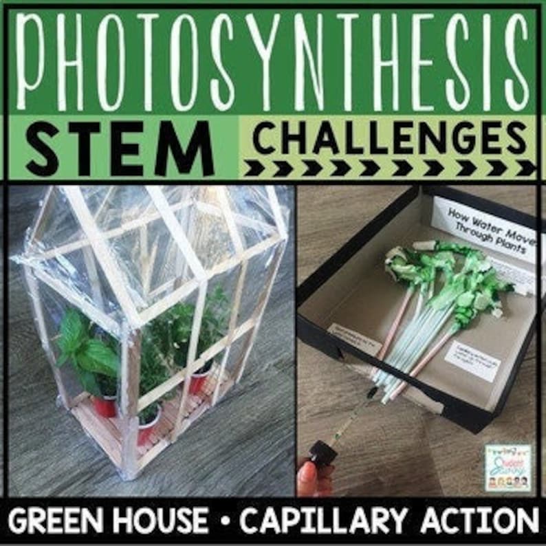 Photosynthesis Activities STEM Challenges - Etsy