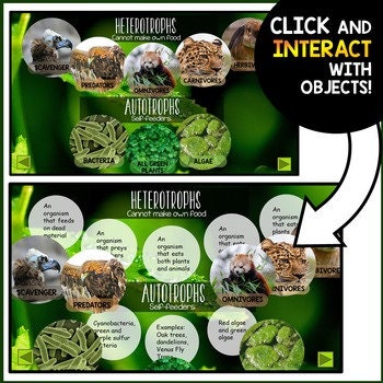 Ecosystems Powerpoint Google Classroom Ecosystem Activities Interactive ...