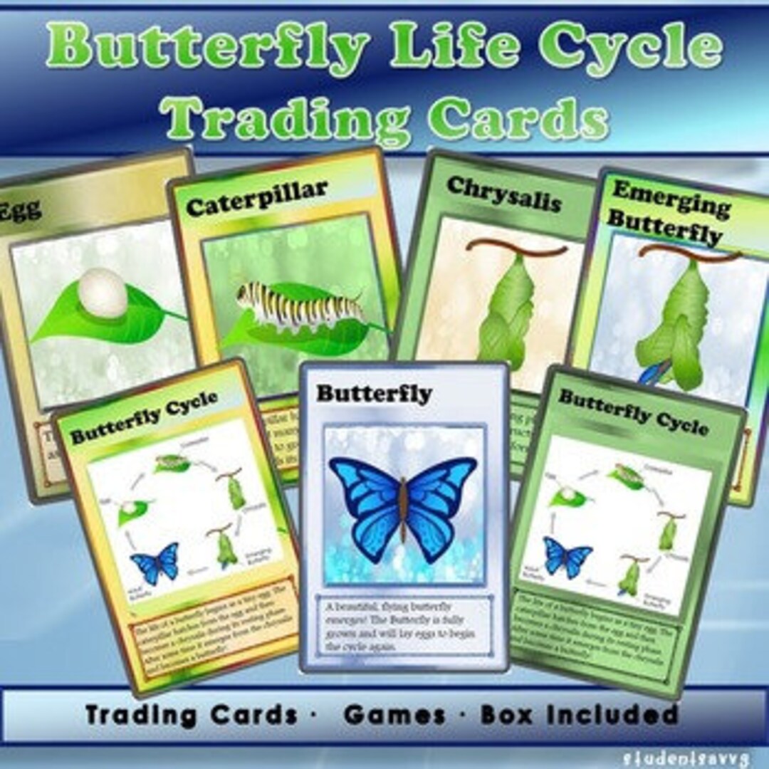 Butterfly Life Cycle - Trading Cards - Etsy