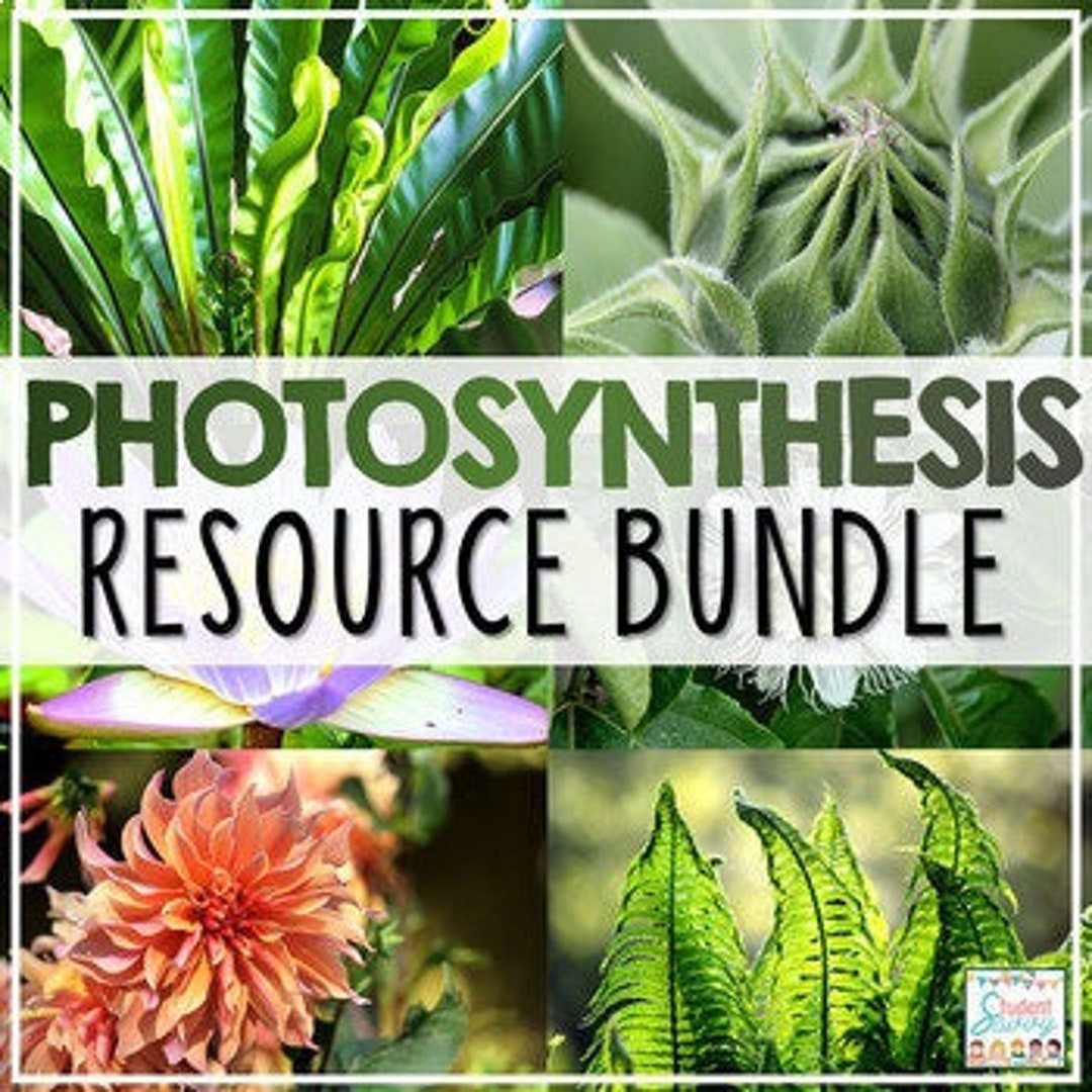 Photosynthesis Activities Bundle Plant Life Worksheets STEM Review - Etsy