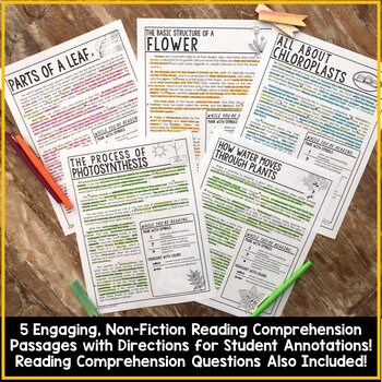 Photosynthesis Reading Passages - Questions - Annotations - Etsy