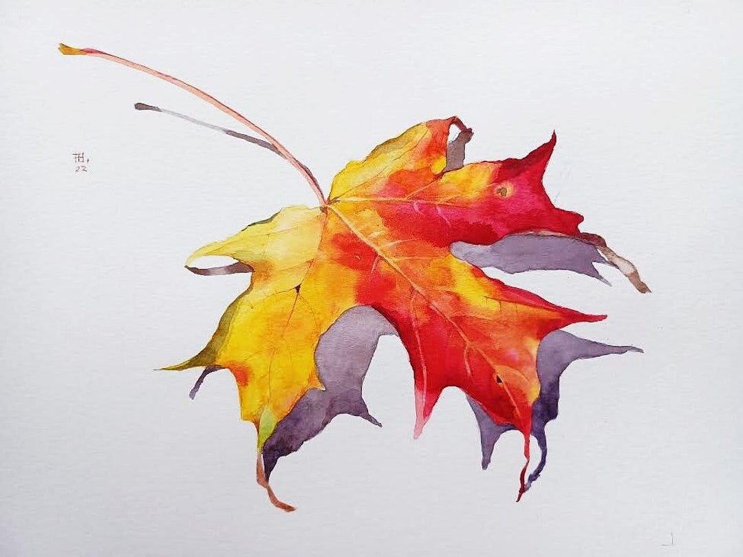 Original Watercolor Painting of a Maple Leaf, "canadian Fall" Series - Etsy