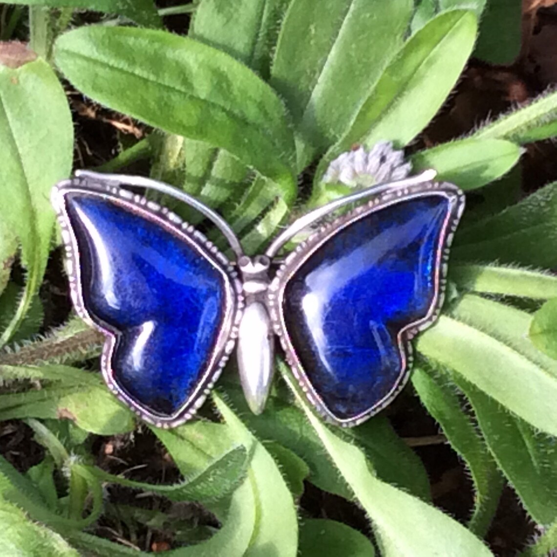 Antique Butterflywing Large Butterfly Sterling Silver Brooch - Etsy UK