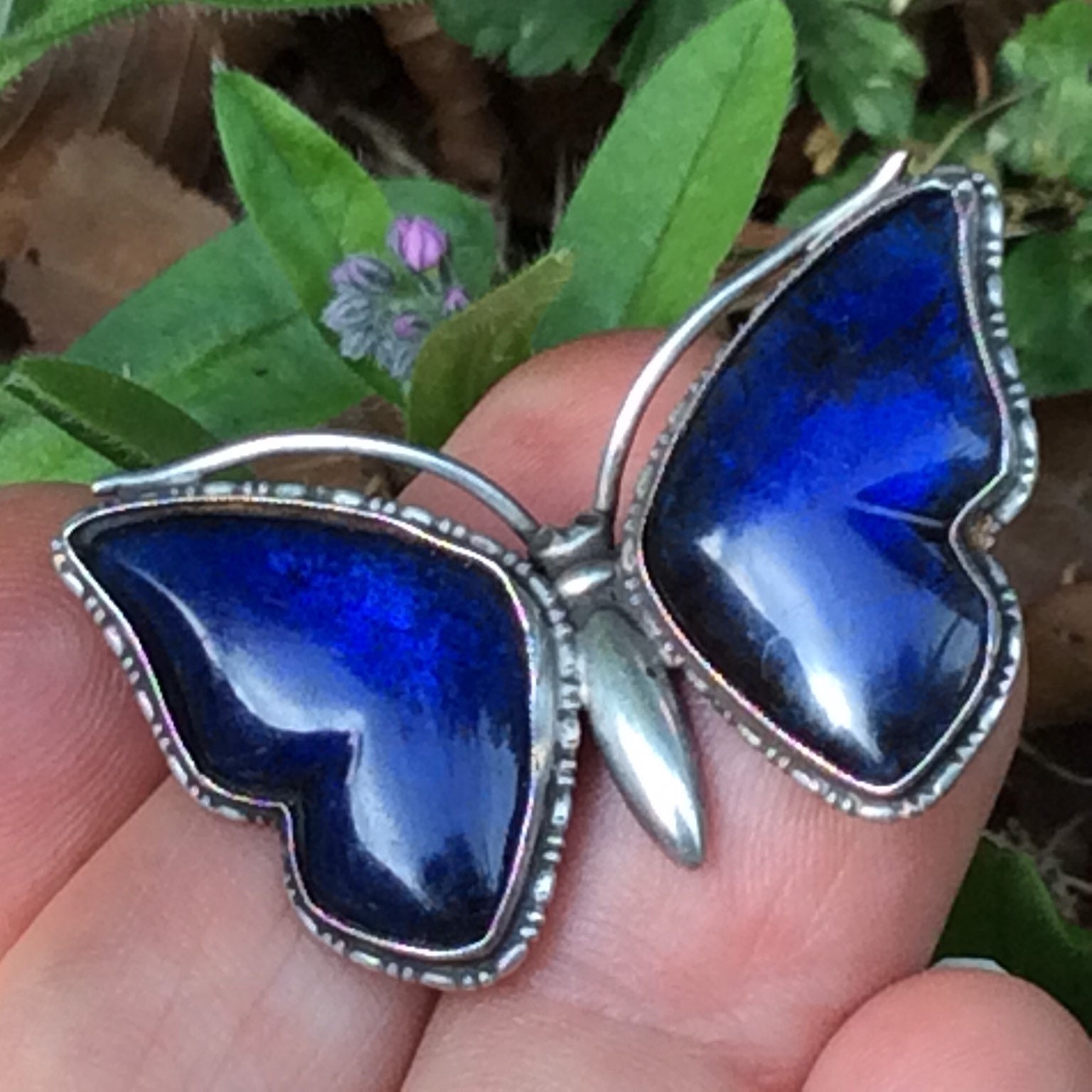 Antique Butterflywing Large Butterfly Sterling Silver Brooch - Etsy UK