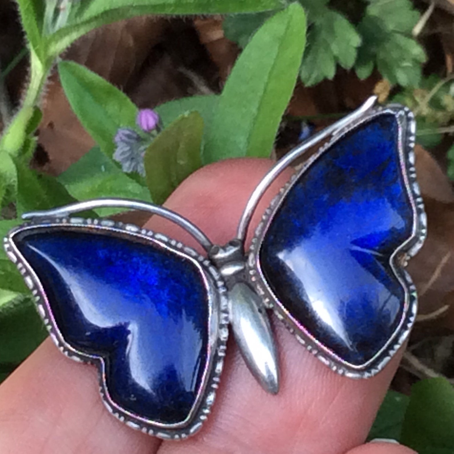 Antique Butterflywing Large Butterfly Sterling Silver Brooch - Etsy UK