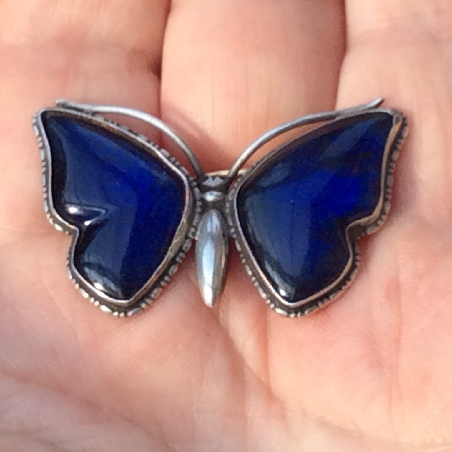 Antique Butterflywing Large Butterfly Sterling Silver Brooch - Etsy UK