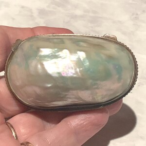 Antique Shell Thimble Lined Holder - With Antique Thimble - 1880 - Etsy