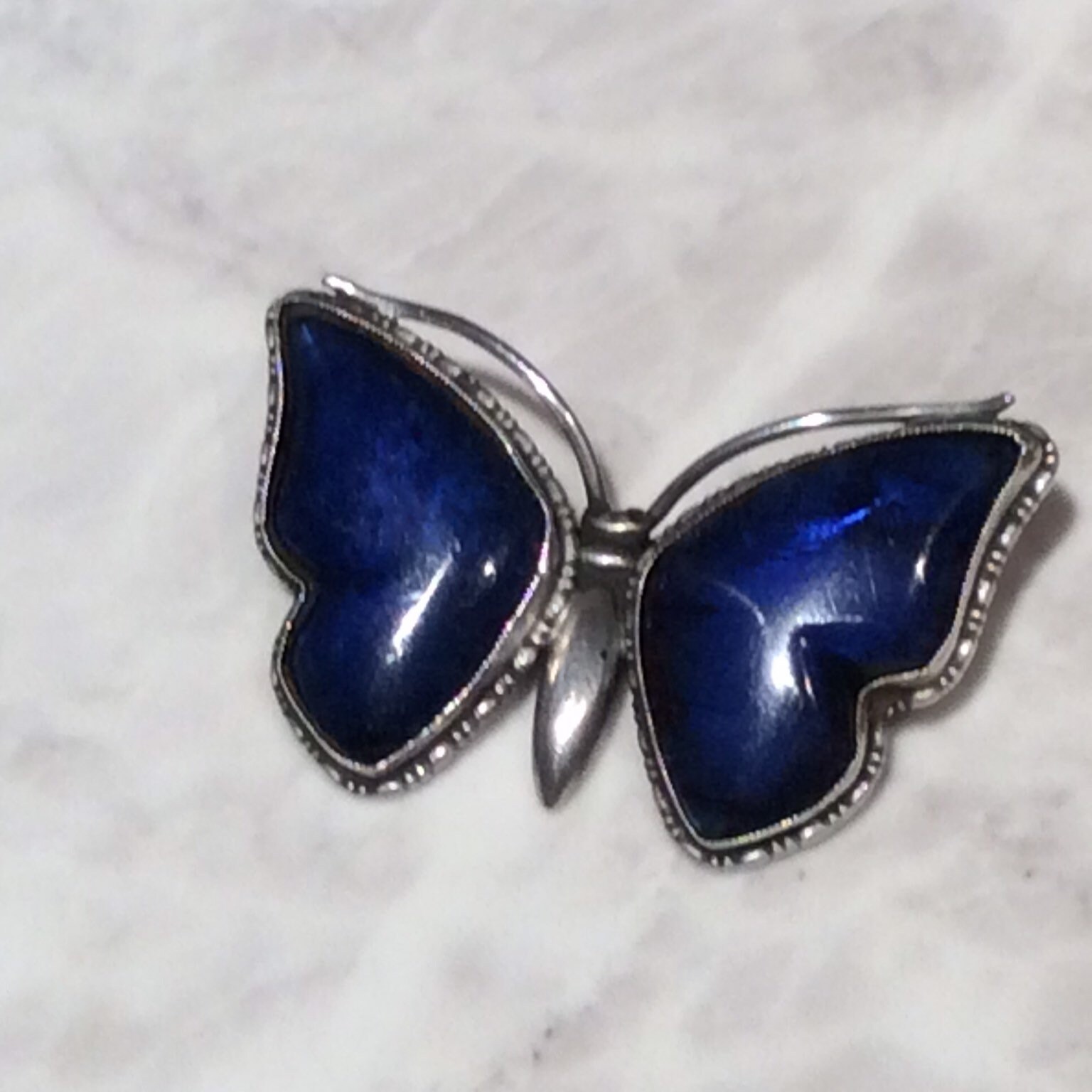 Antique Butterflywing Large Butterfly Sterling Silver Brooch - Etsy UK