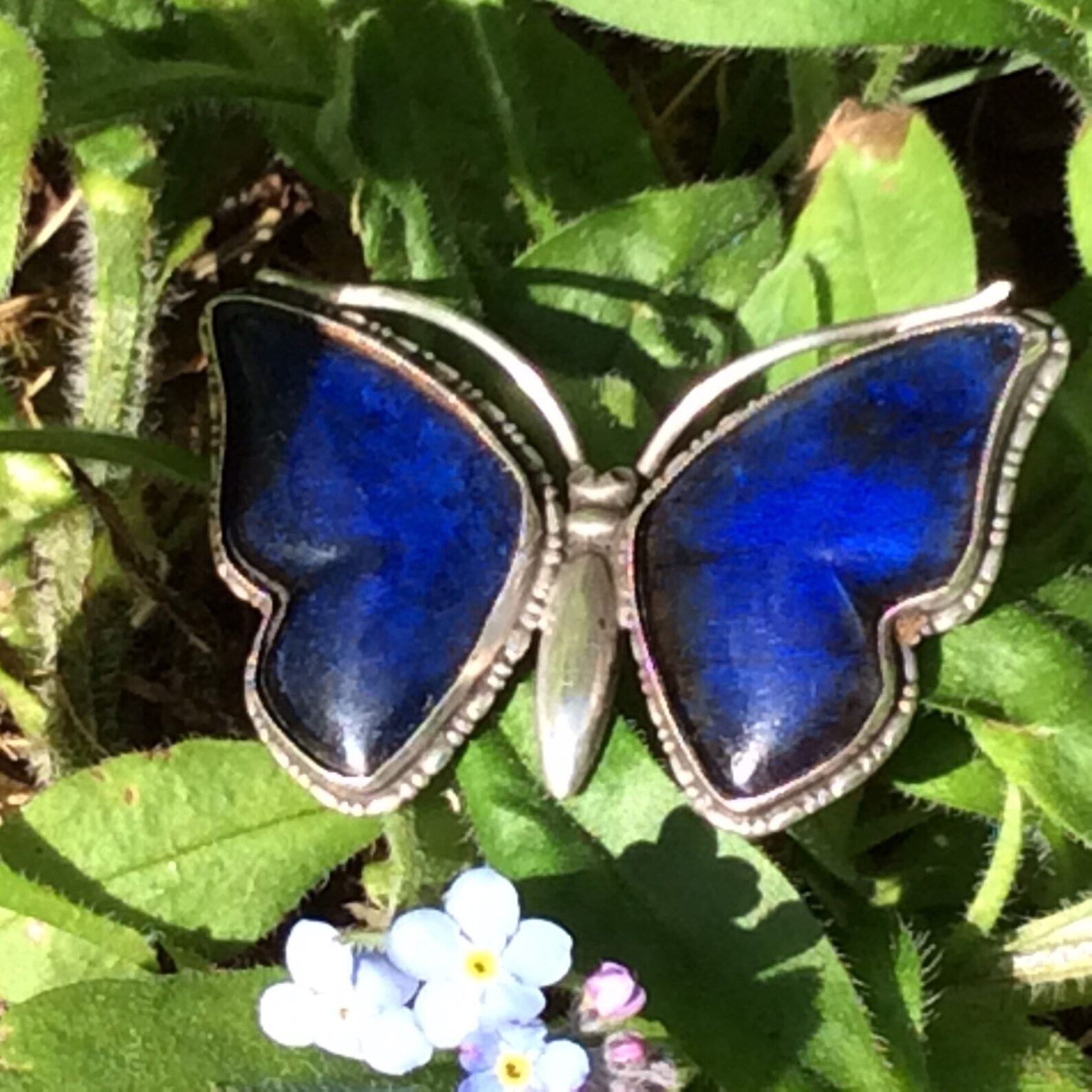 Antique Butterflywing Large Butterfly Sterling Silver Brooch - Etsy UK