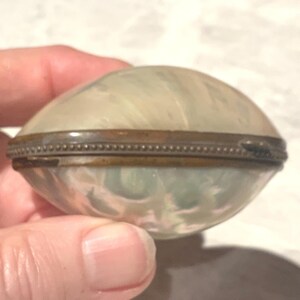 Antique Shell Thimble Lined Holder - With Antique Thimble - 1880 - Etsy