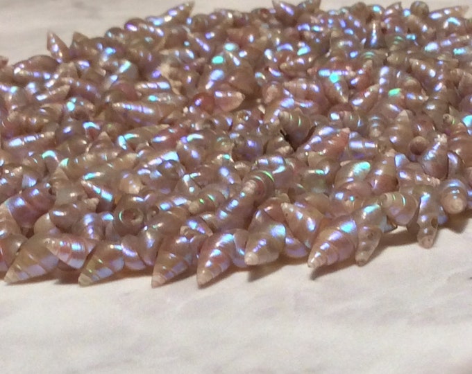 Antique Tasmanian Maireener Iridescent Shell Necklace - Etsy