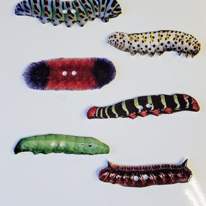 Caterpillars Buttons - Set of 6 - Etsy