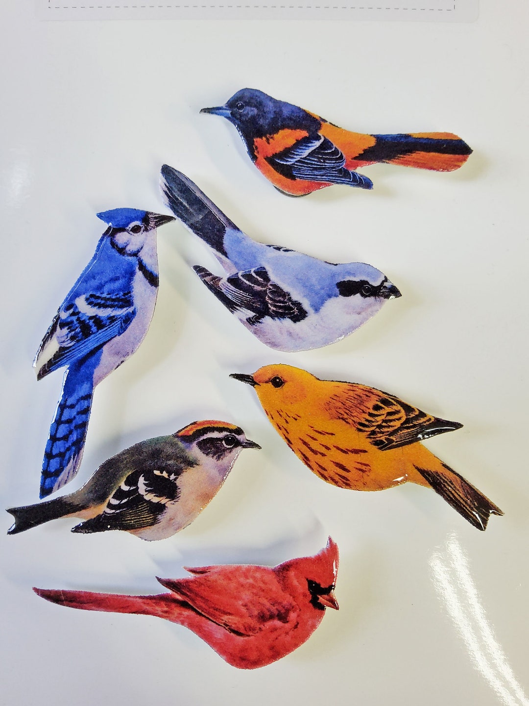 Birds #1 Magnets - Set of 6 - Etsy