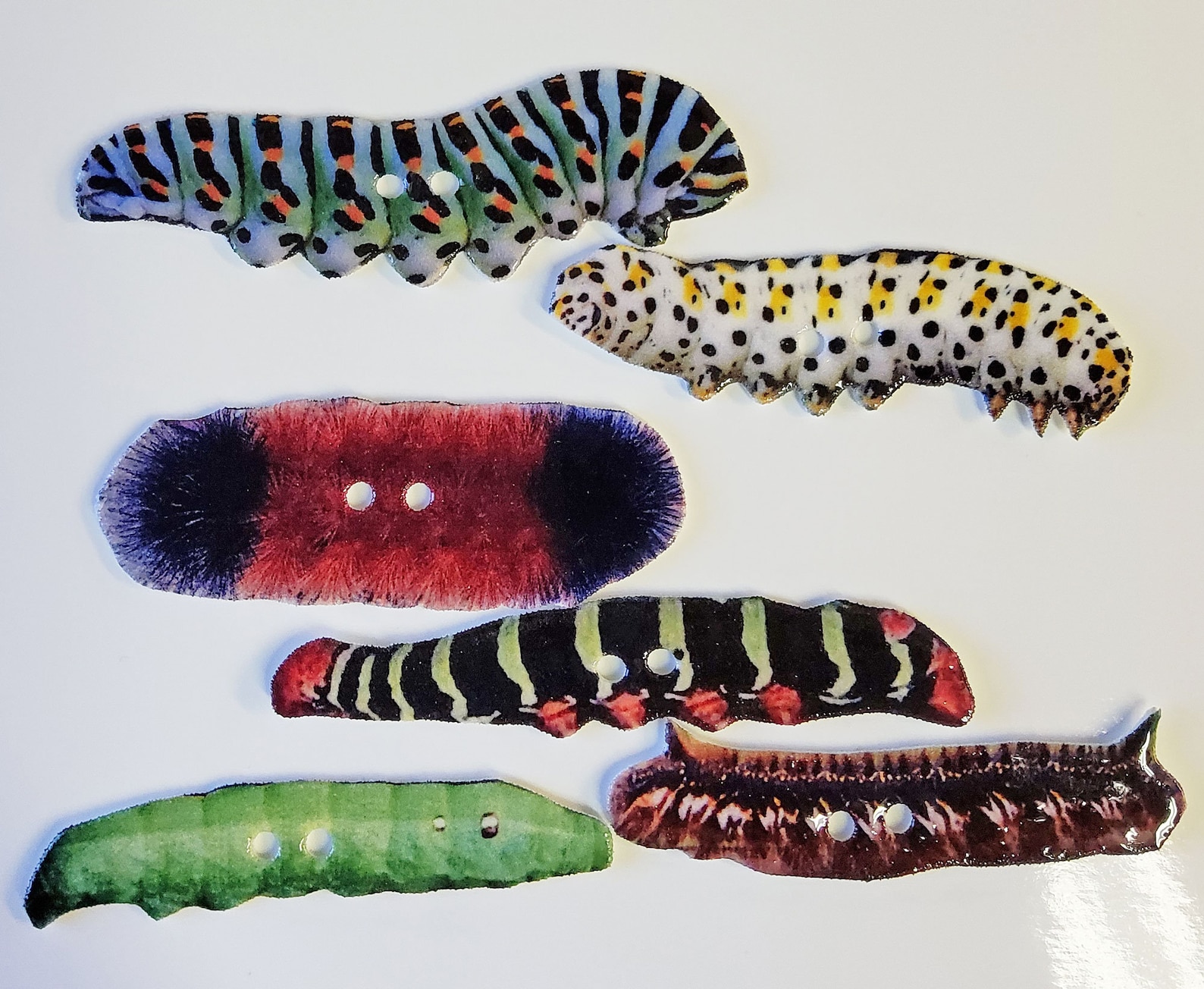 Caterpillars Buttons - Set of 6 - Etsy