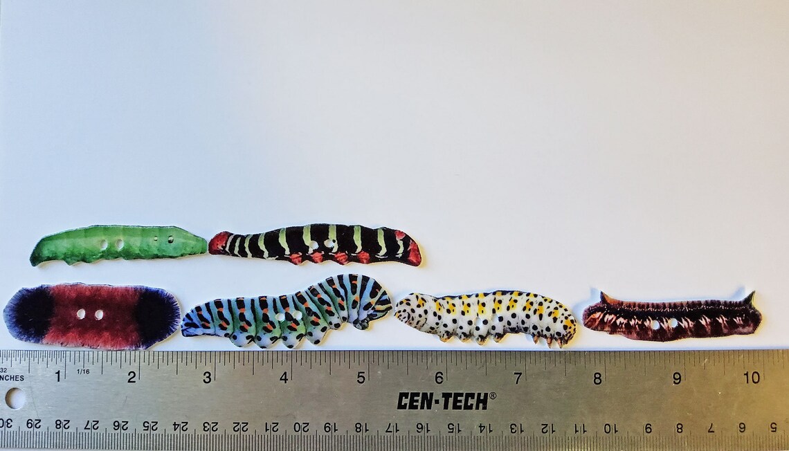 Caterpillars Buttons - Set of 6 - Etsy