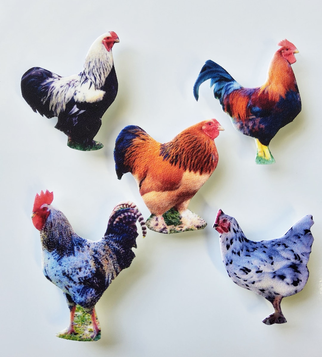 Roosters Magnets 2 Set of 5 - Etsy