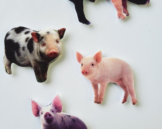 Pig Pins & Magnets - Etsy