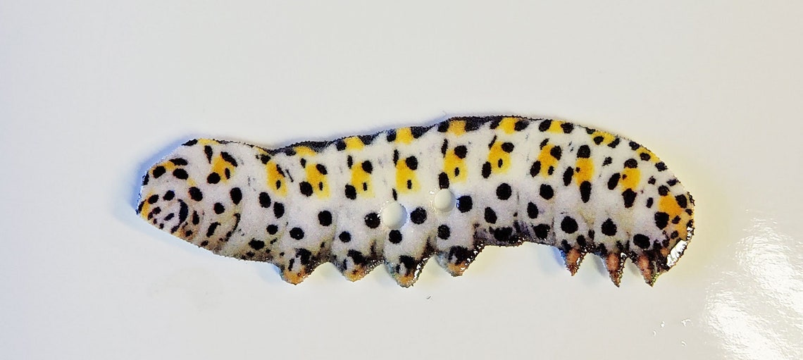 Caterpillars Buttons - Set of 6 - Etsy