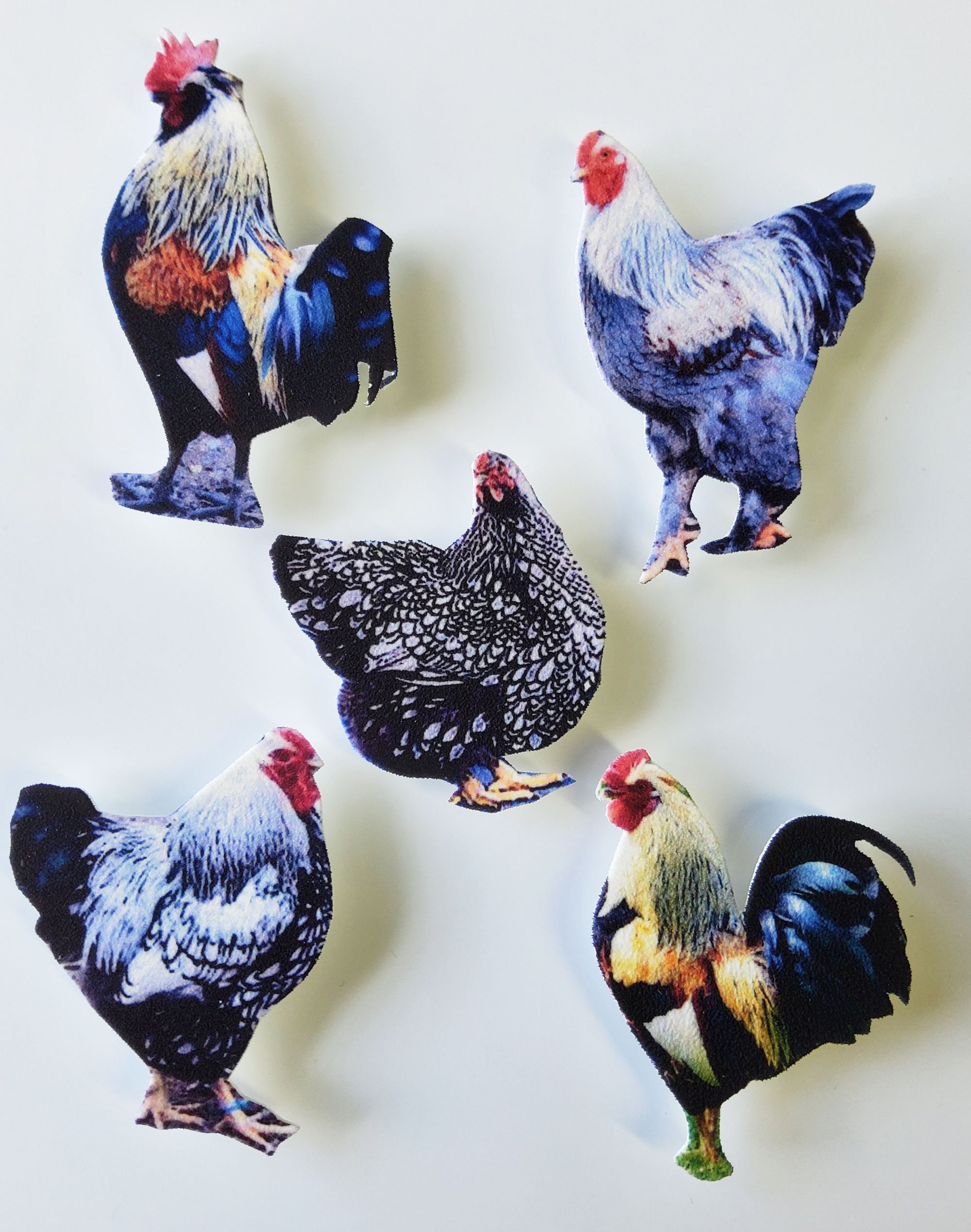 Rooster Magnets #3 -set of 5 - Etsy