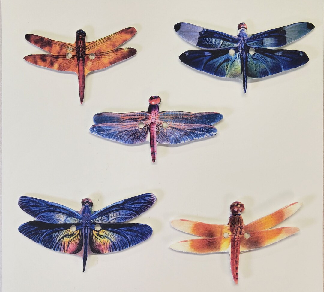 Dragonfly Button Large - Set of 5 - Etsy