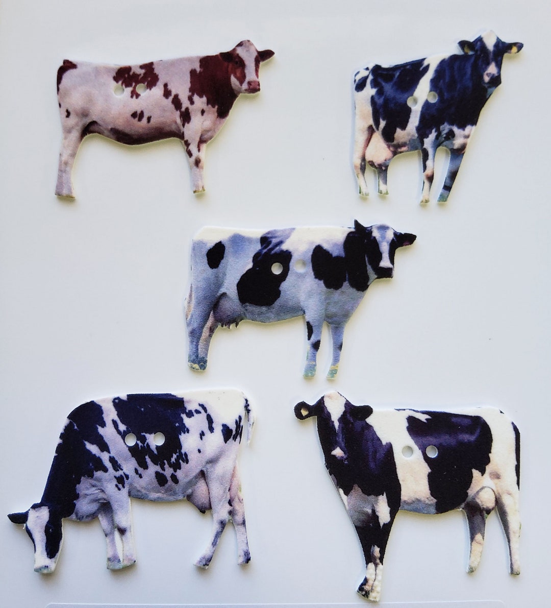 Cow Large Buttons-set of 5 - Etsy