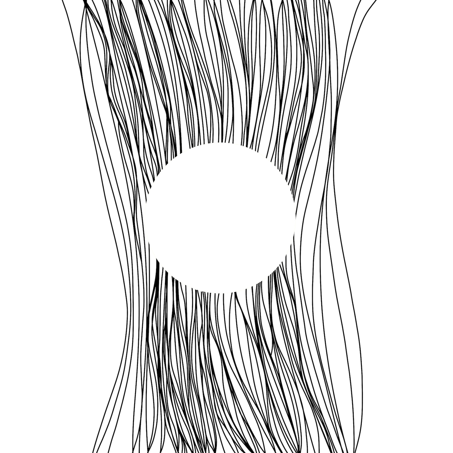 Bark 10 - Line Drawing, Line Art, Illustration, Graphic Art, Digital ...
