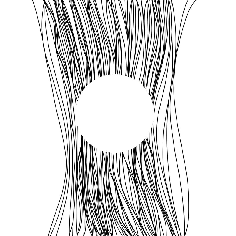 Bark 10 - Line Drawing, Line Art, Illustration, Graphic Art, Digital ...