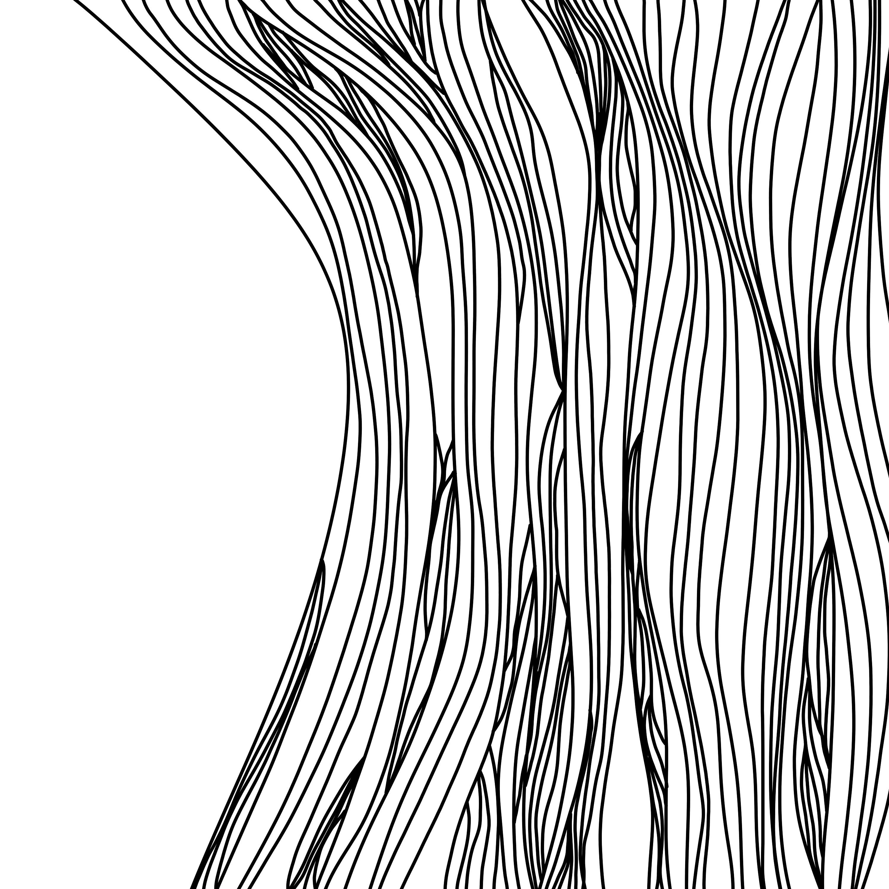 Bark 1 - Line Drawing, Line Art, Illustration, Graphic Art, Digital Art ...