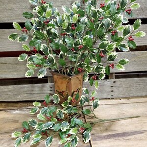 Mini Holly Stem 6 Pieces for 17.50 - Etsy