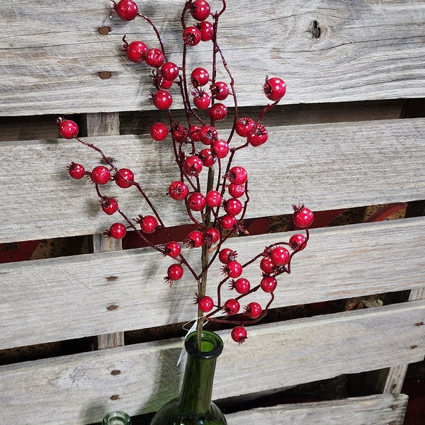 Red Berry Stems - Etsy