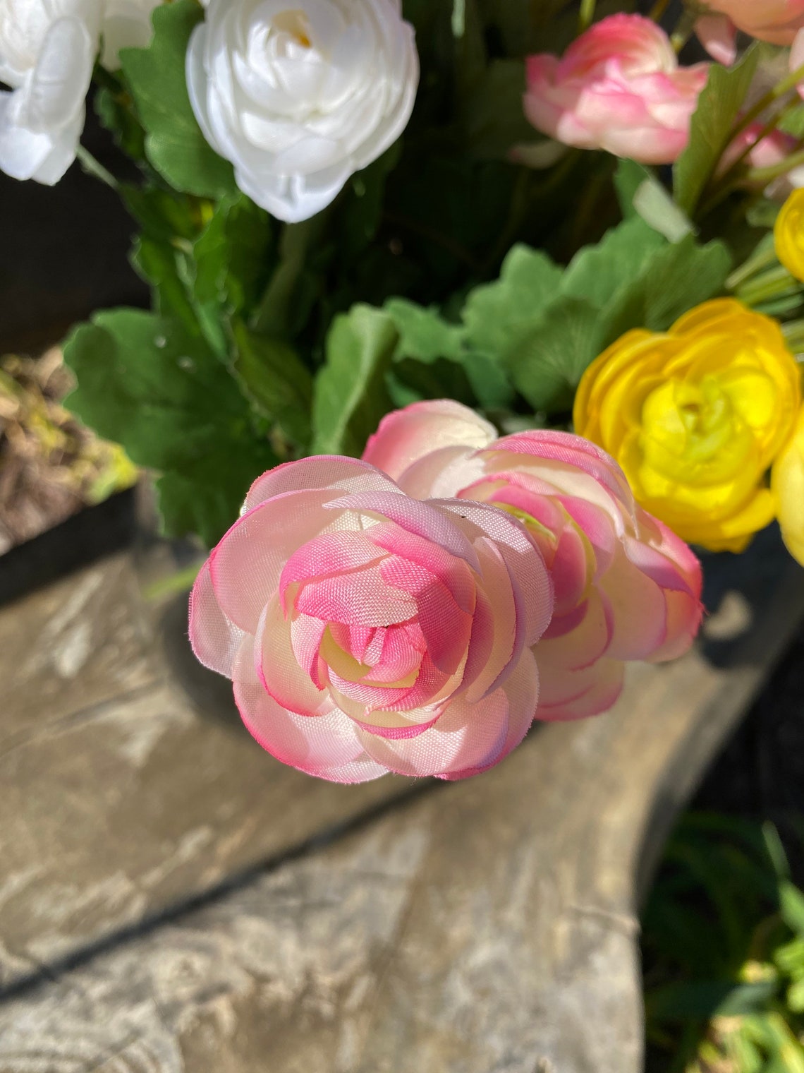 Ranunculus Bush Very Nice - Etsy
