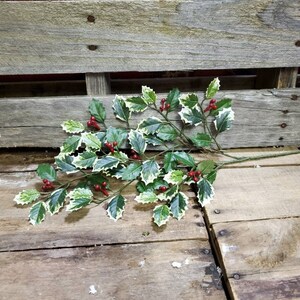 Mini Holly Stem 6 Pieces for 17.50 - Etsy