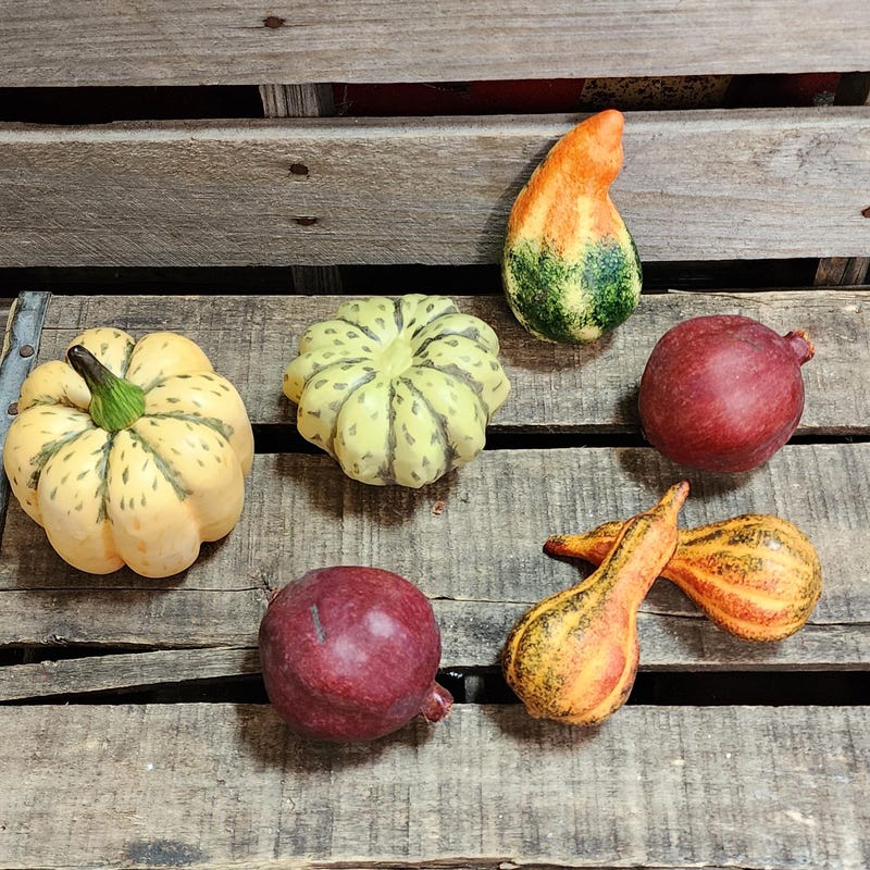 Faux Pumpkins and Gourd - Etsy