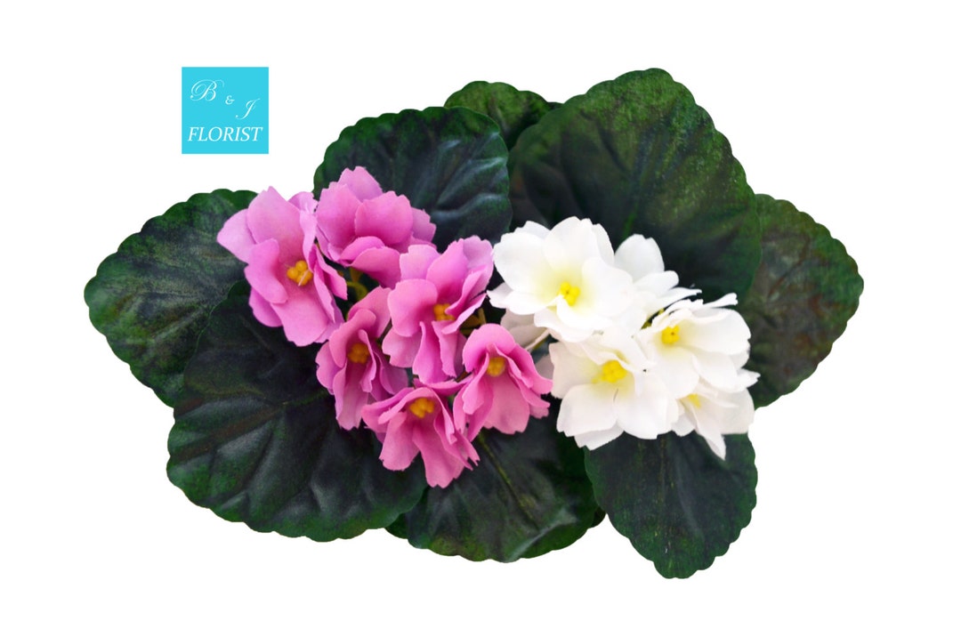 6 Mini African Violet Artificial Bush - Lavender White Small Silk Fake ...