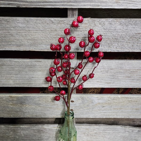 Fall Berry Garland - Etsy