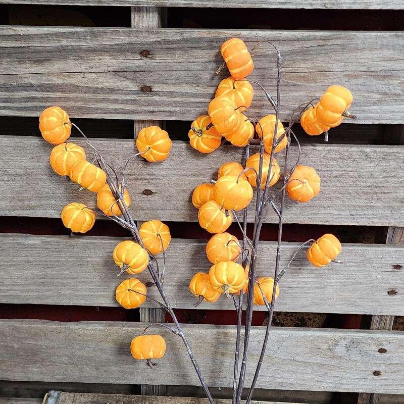 Bittersweet Garland - Etsy
