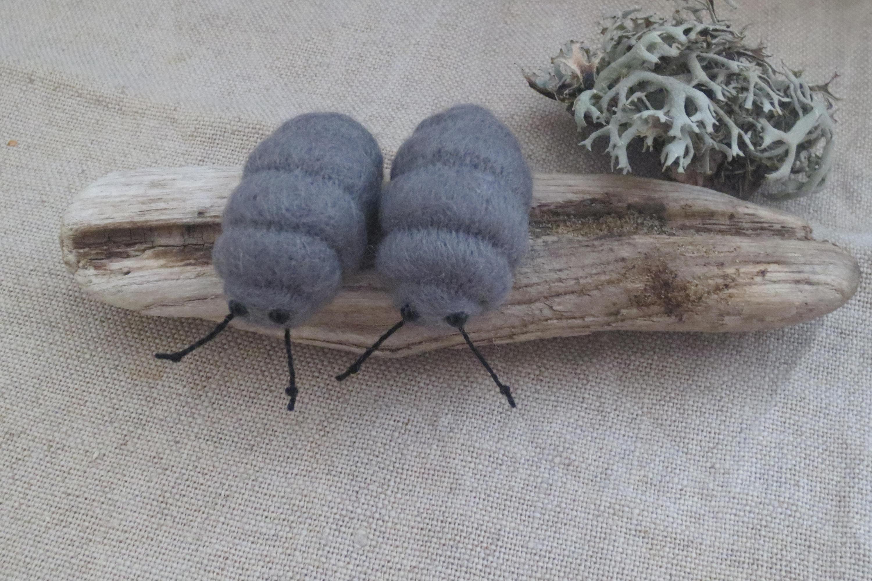 Felted PILL BUG Woodlouse Beetle Desk Buddy Keepsake Mother's Day Gift ...