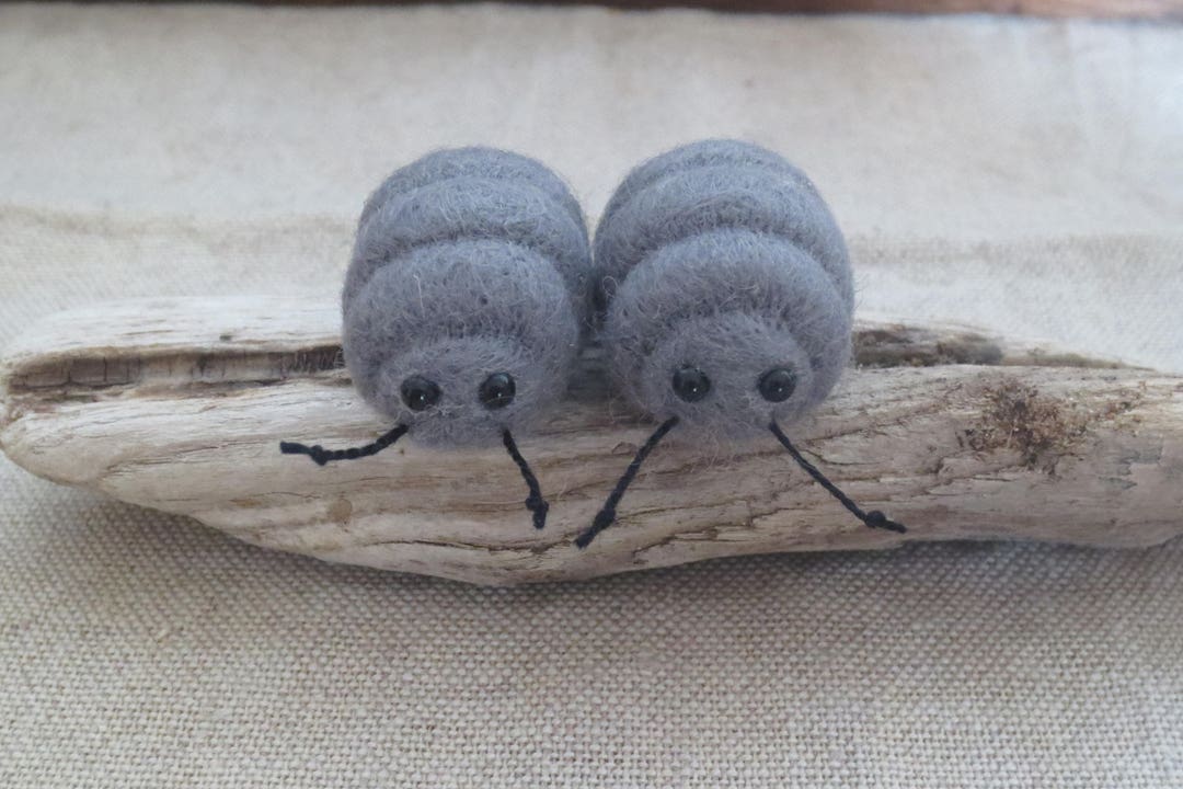 Felted PILL BUG Woodlouse Beetle Desk Buddy Keepsake Mother's Day Gift ...